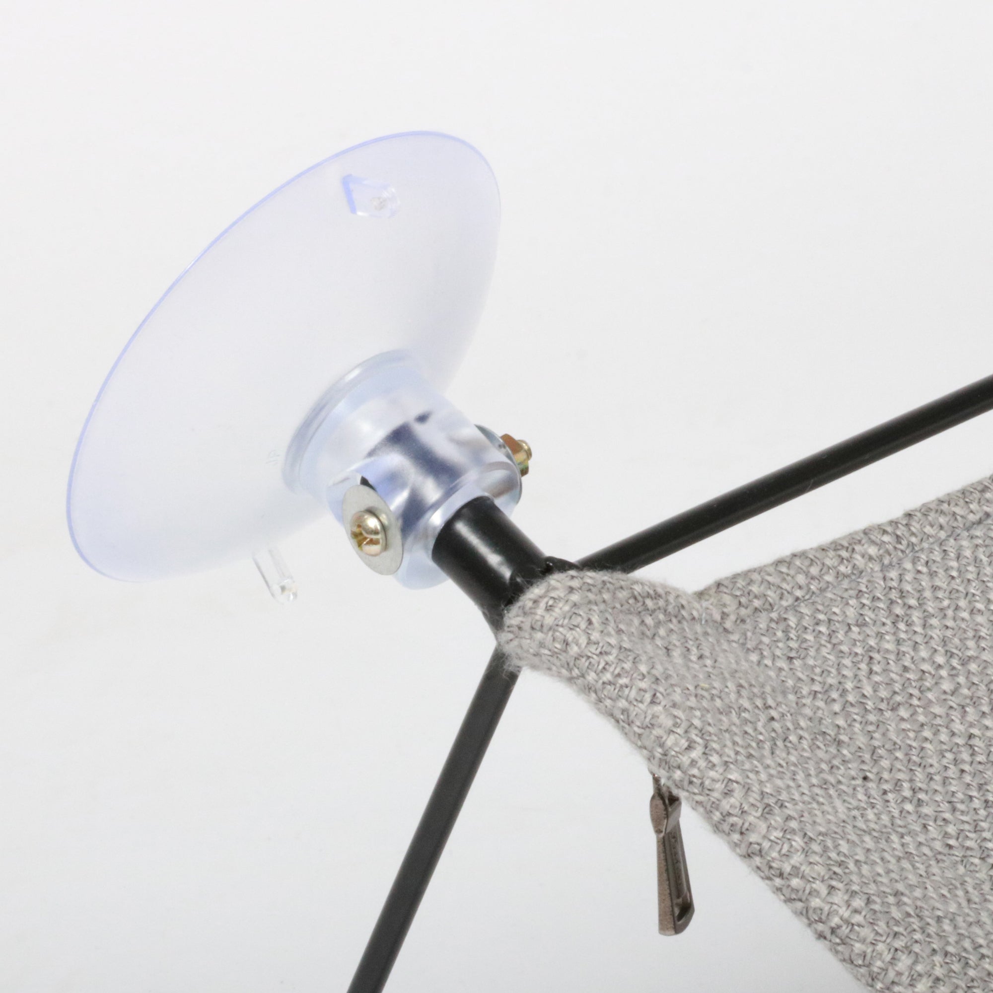 Felinova ♡ I Love Happy Cats