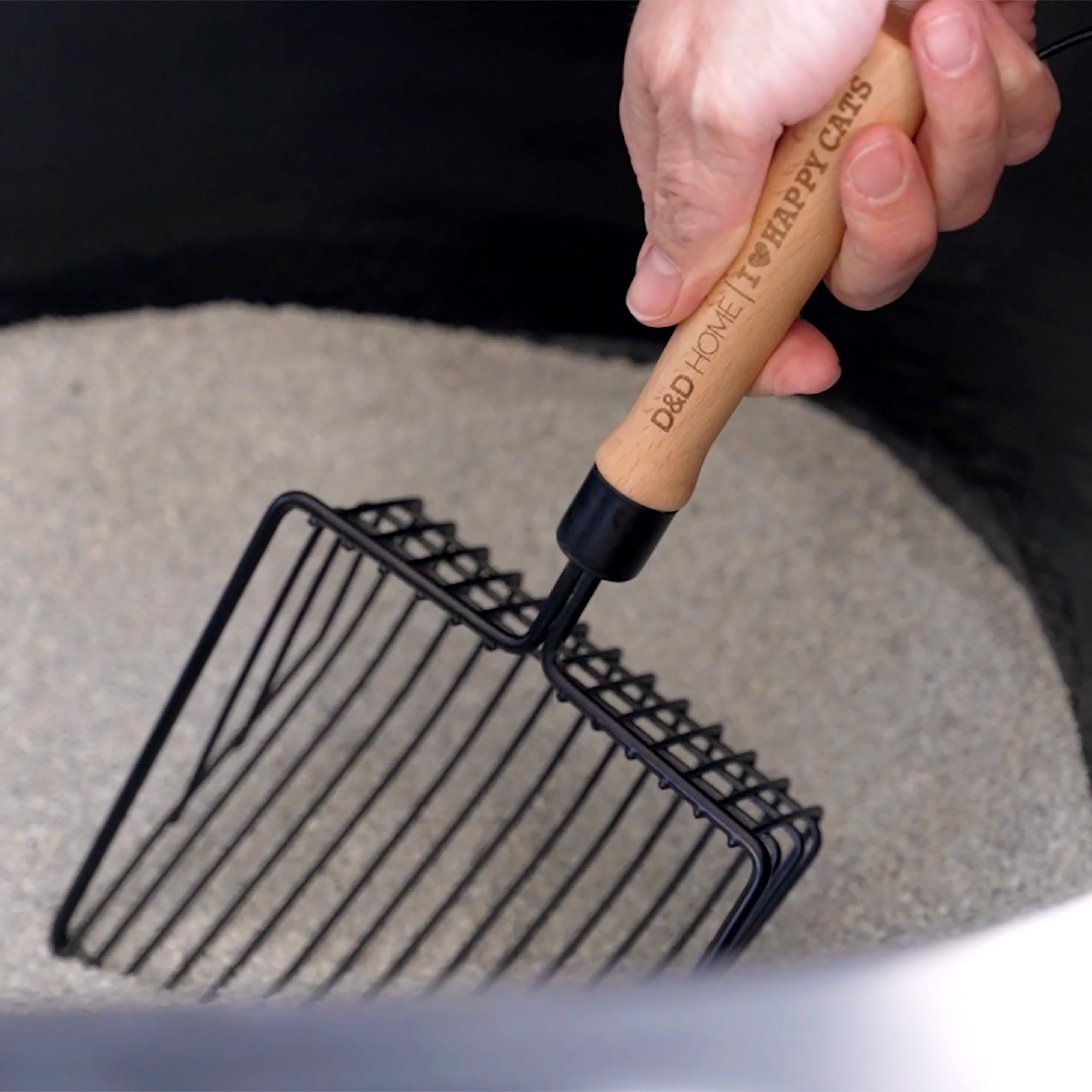 Felinova ♡ I Love Happy Cats