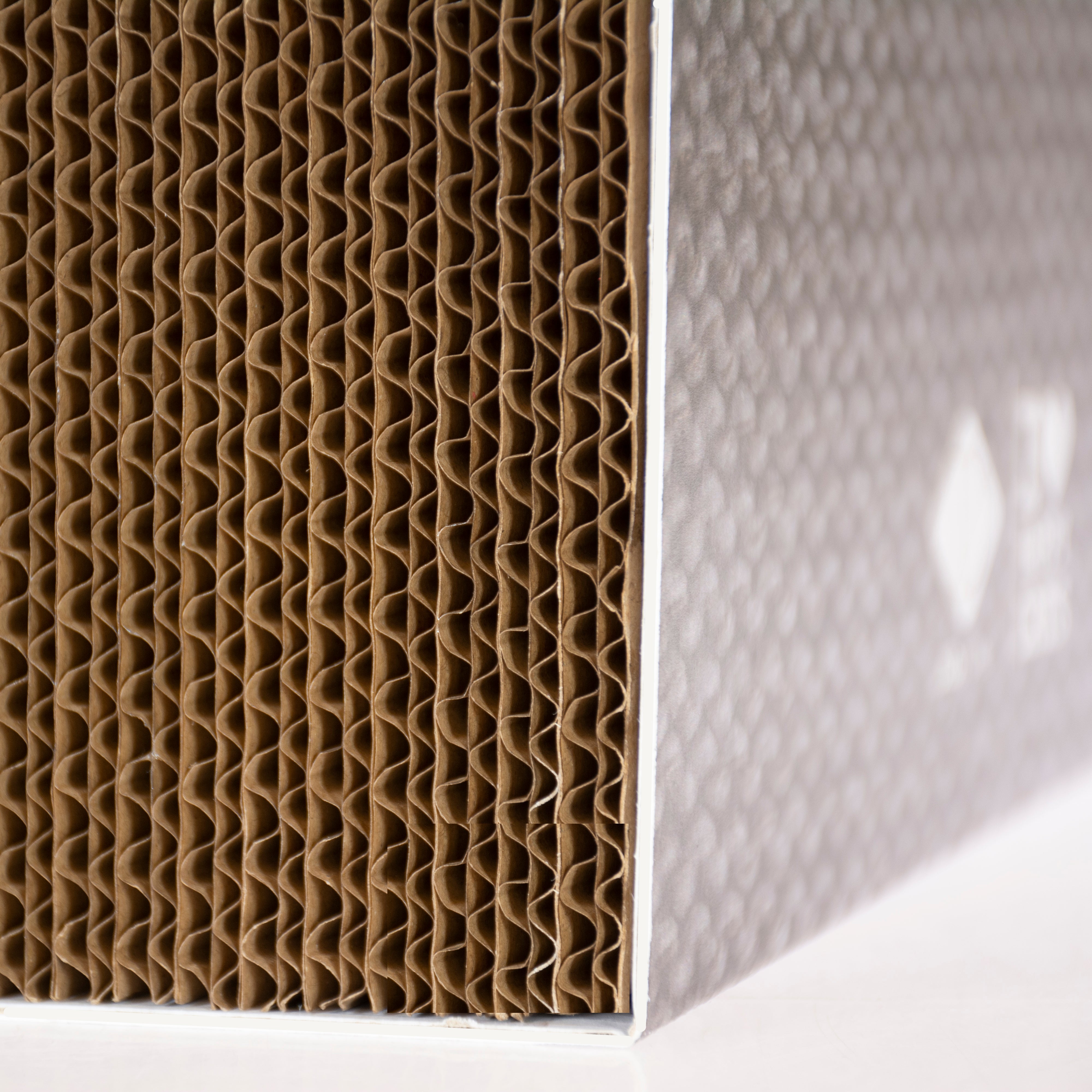 Felinova ♡ I Love Happy Cats