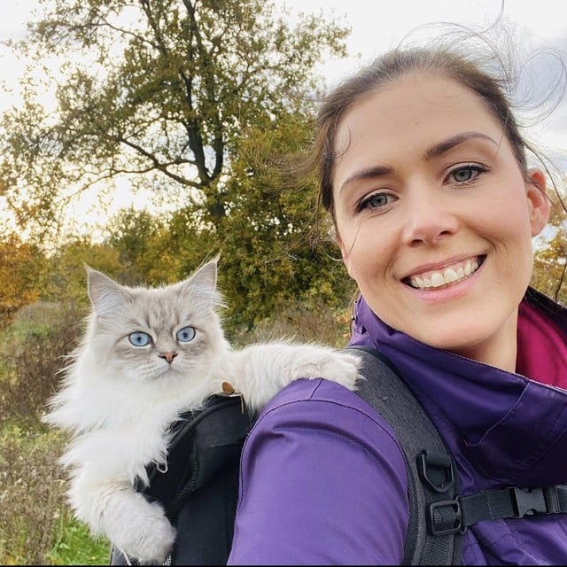 Happy Cats Cafe 2024